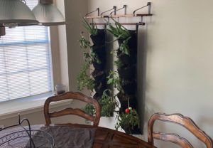 Planted Wall Ultimate Guide: 47 Cool Ways to Do a Plant Wall