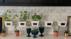 Planted Wall Ultimate Guide: 47 Cool Ways to Do a Plant Wall