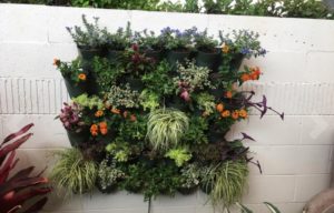 Planted Wall Ultimate Guide: 47 Cool Ways to Do a Plant Wall