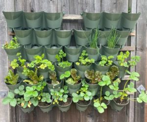 Planted Wall Ultimate Guide: 47 Cool Ways to Do a Plant Wall