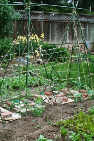 Gardening Hoes Buyer's Guide & How to Master a Hoe Gardening Hoes Buyer's Guide & How to Master a Hoe
