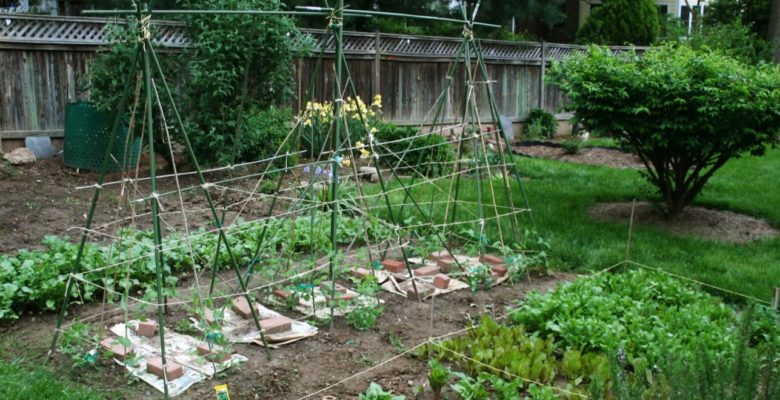 Landscaping Ideas, Designs, Tips and Tricks for your Garden