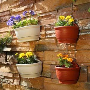 Planted Wall Ultimate Guide: 47 Cool Ways to Do a Plant Wall