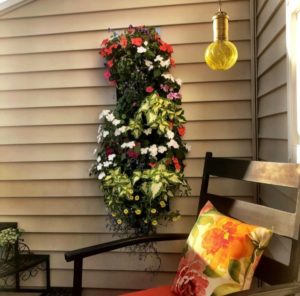 Planted Wall Ultimate Guide: 47 Cool Ways to Do a Plant Wall