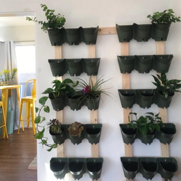 Planted Wall Ultimate Guide: 47 Cool Ways to Do a Plant Wall