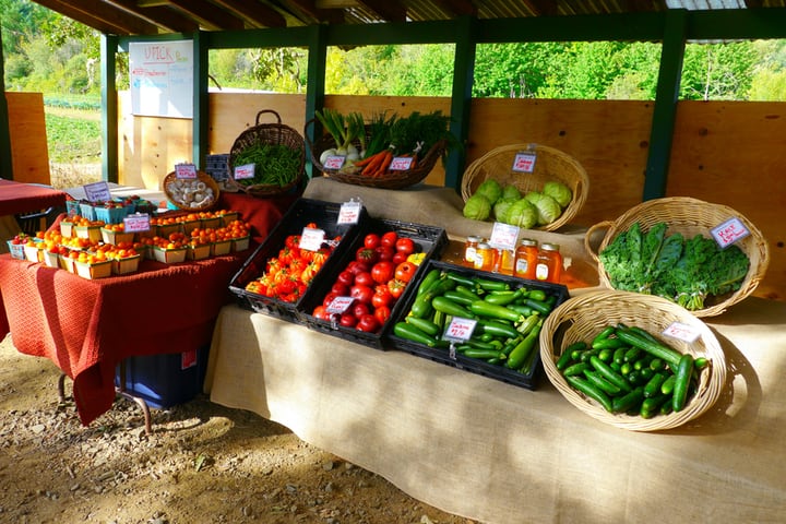 Market Gardening Easy Guide: How to Get Started in 10 Steps