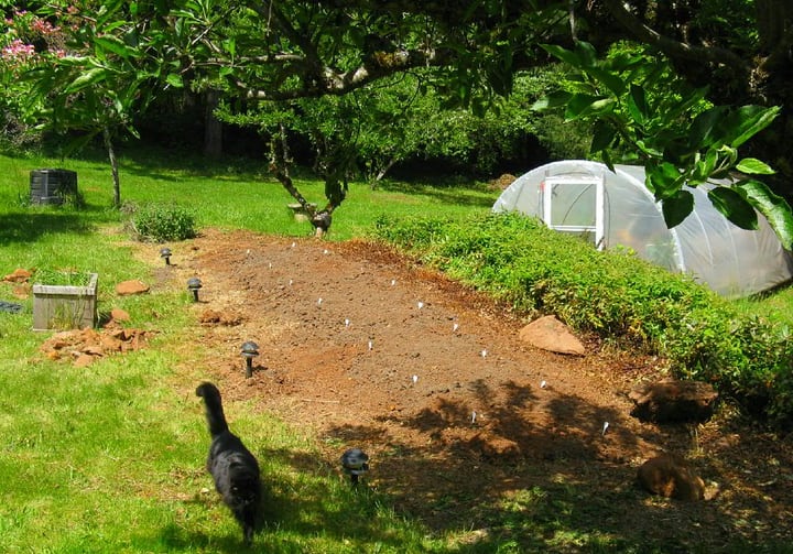 Market Gardening Easy Guide: How to Get Started in 10 Steps