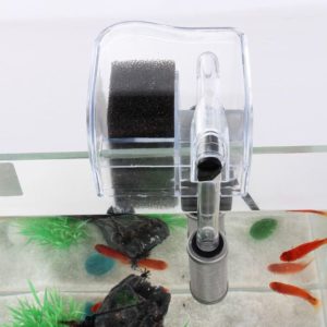 Fish Aquarium 101: Easy Guide to Building a DIY Fish Tank