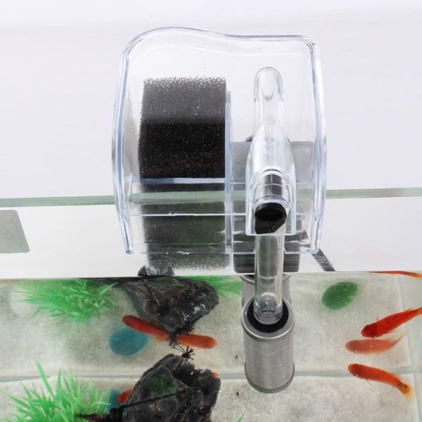 Fish Aquarium 101: Easy Guide to Building a DIY Fish Tank