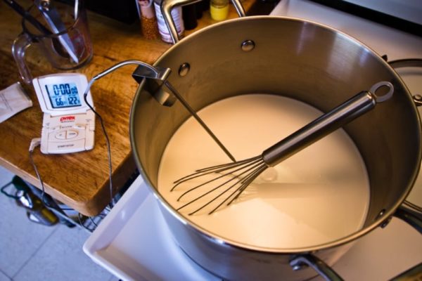 Making Cheeses at Home 101: Easy DIY Guide for Beginners