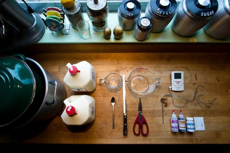 Making Cheeses at Home 101: Easy DIY Guide for Beginners