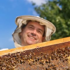 37 Fascinating Bee Facts Everyone Should Know