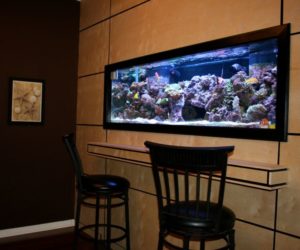 Fish Aquarium 101: Easy Guide to Building a DIY Fish Tank