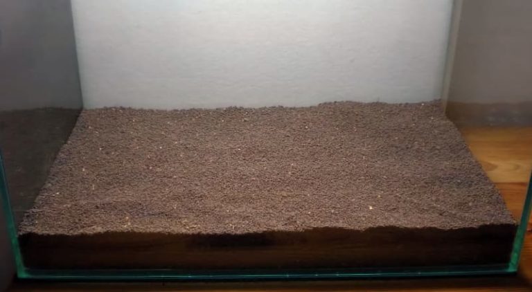 25 Best Aquascaping Ideas with Instructional Guide for 2022