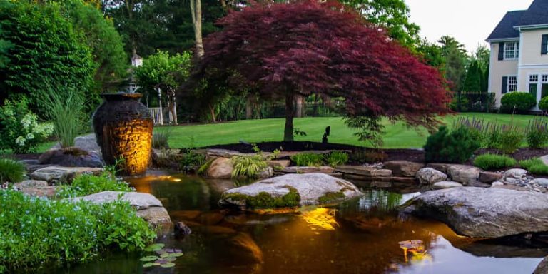 41 Stunning Garden Water Features to Easily Recreate in 2022